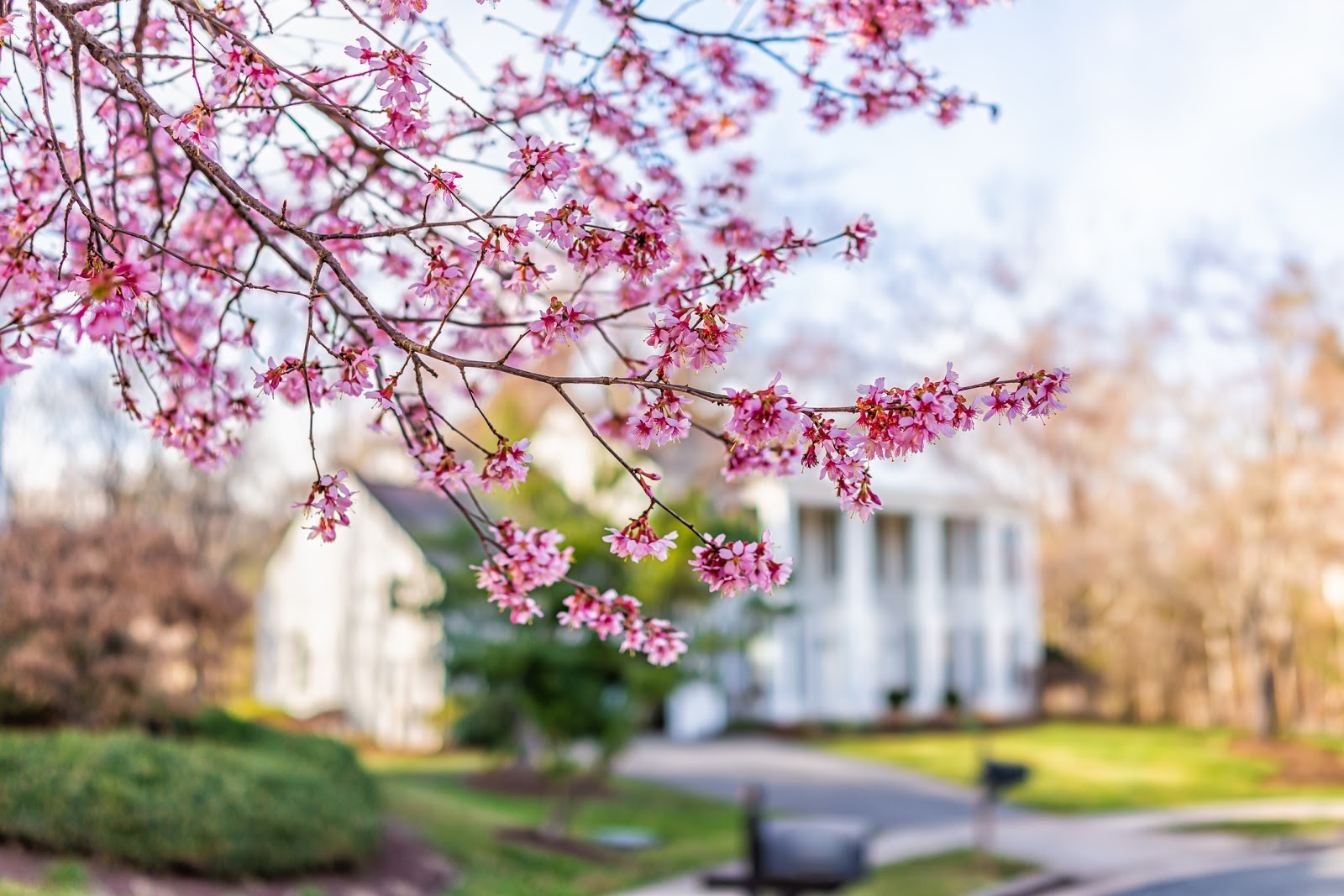 Spring home buying season: what you need to know - Quontic Wholesale